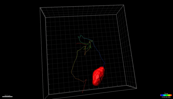 Gallery - KH Lin's Lab